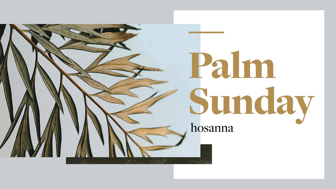 Beautiful Palm Sunday Images: 7 Stunning Visuals to Inspire