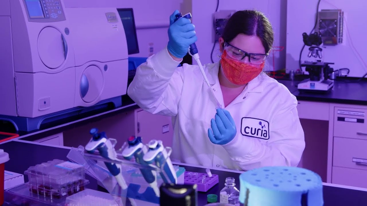 Curia: 7 Key Insights for 2025 You Can't Afford to Miss