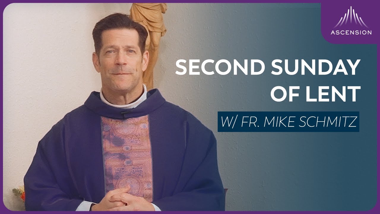 Father Mike Schmitz: 7 Inspiring Lessons for 2025