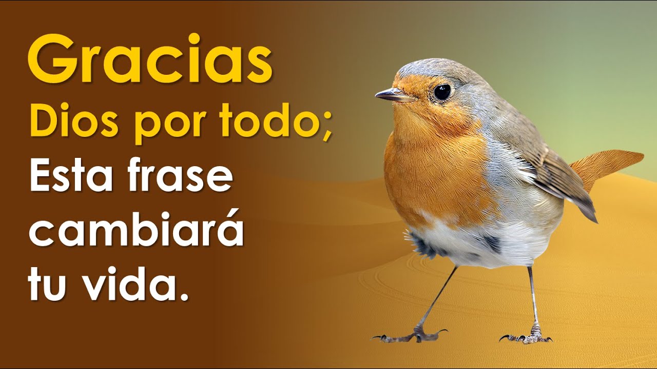 Gracias Dios por todo: 7 blessings to cherish in life