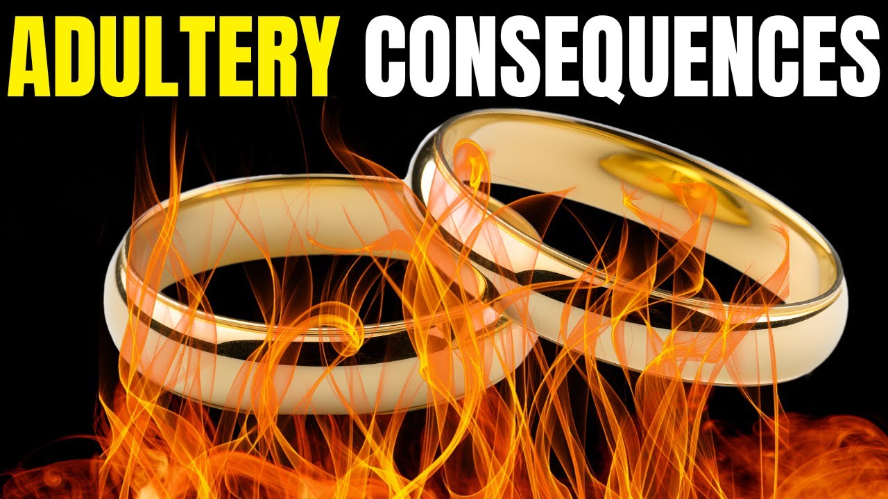 Flowers in the Bible: 7 Symbolic Blooms You Should Know