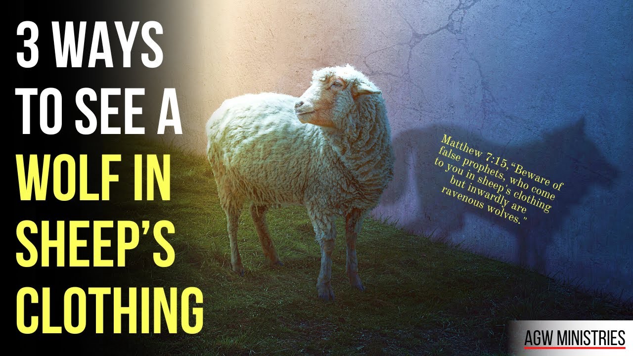 Wolf in Sheep's Clothing Meaning: 7 Surprising Facts You Need to Know