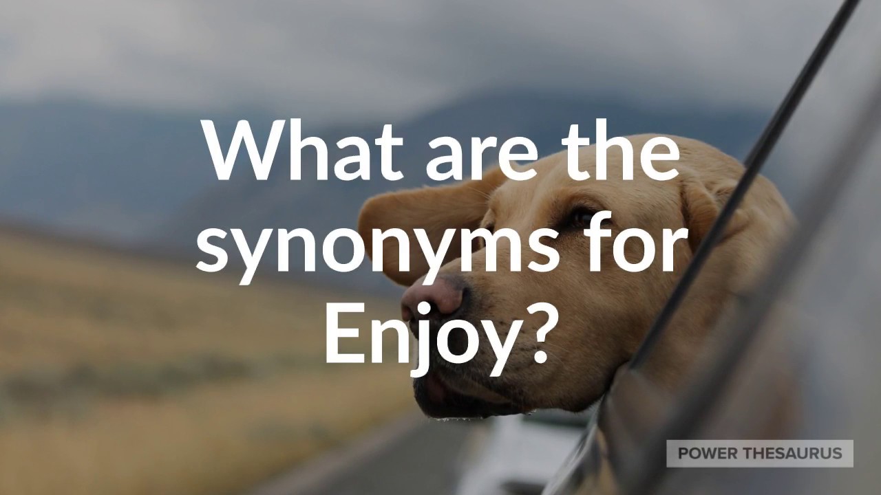 Relish 7 Fun Ways to Explore Your Google History