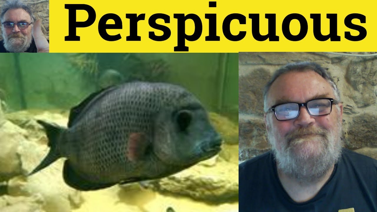 Perspicuous Insights: 7 Key Benefits of Mindfulness Practices