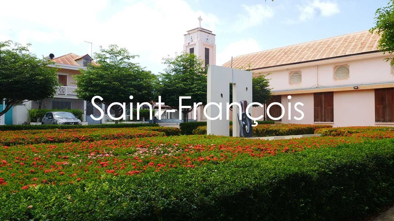 Saint François : 5 secrets fascinants sur sa vie et son héritage