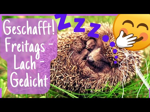 Freitag Sprüche: 7 inspirierende Zitate für den perfekten Start!