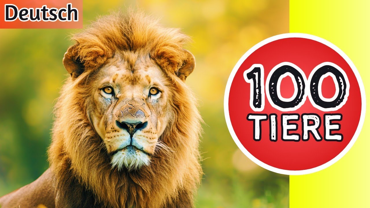 Tiere Bild: 7 bezaubernde Fotos, die Ihr Herz erobern!