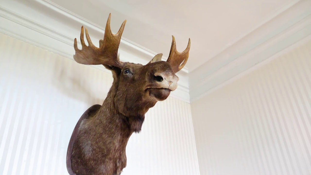 Egendom 2025: 7 tips för att maximera din investering