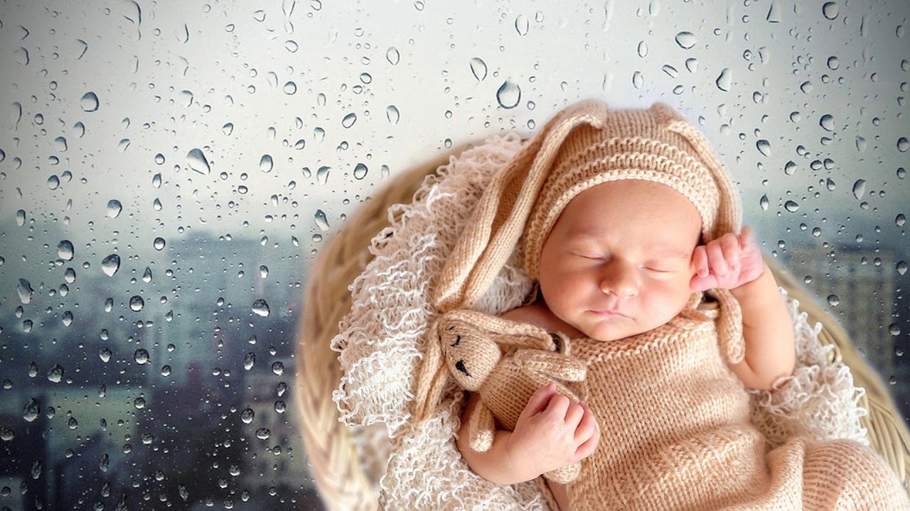 Kisa 2025: 7 fakta du inte visste om denna mysiga plats